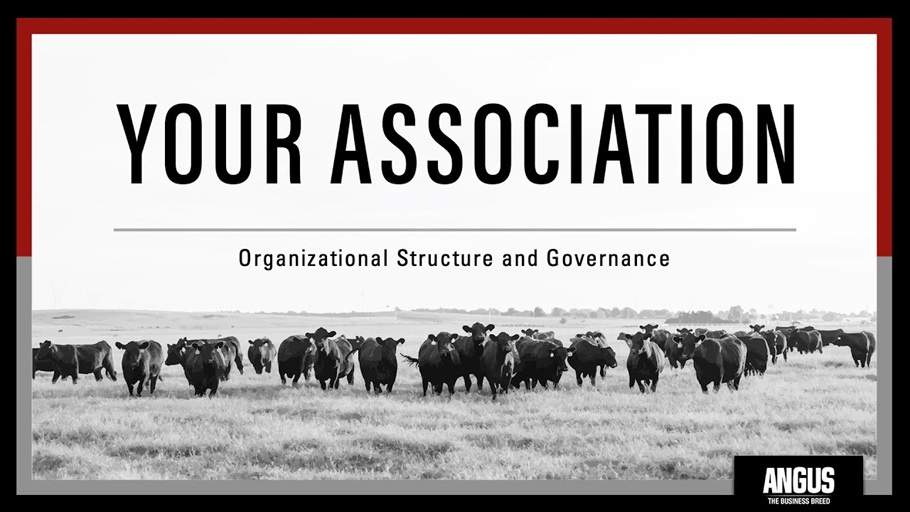 Stay engaged with Association business
