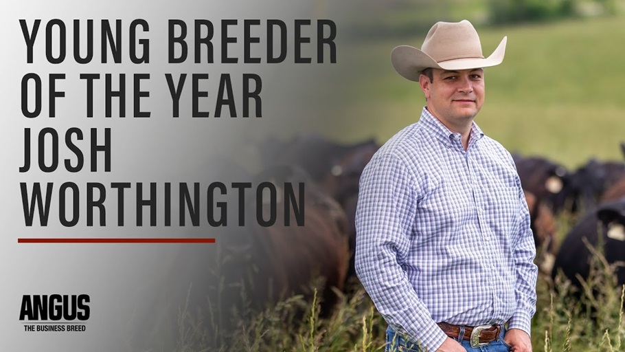 Nominate Influential People in the Angus Breed