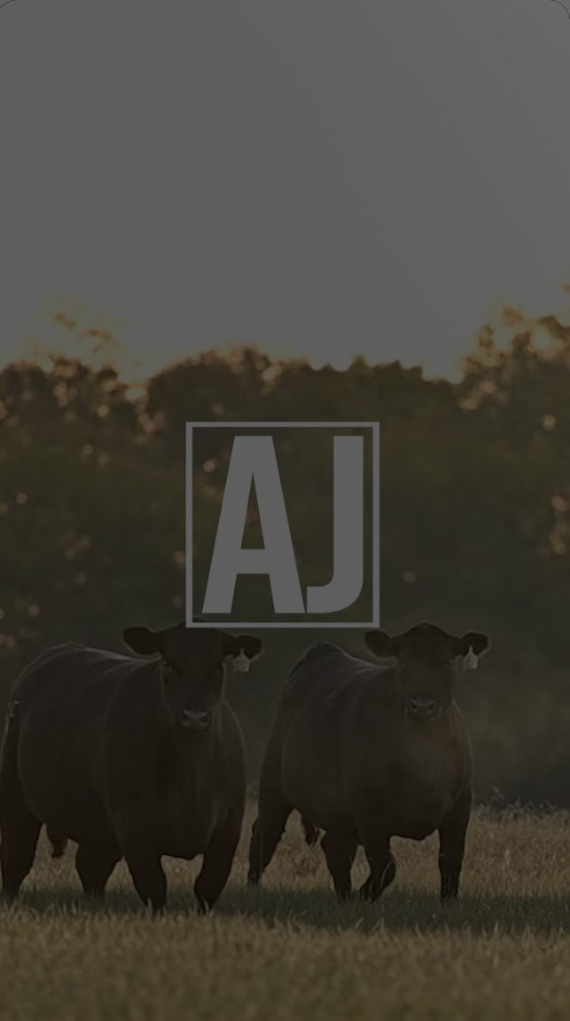 Angus Journal