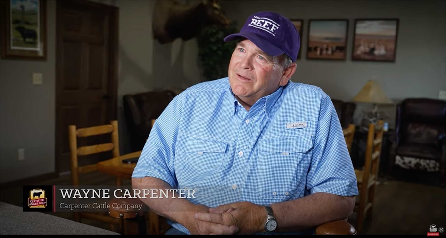 Feeding Better Cattle Better