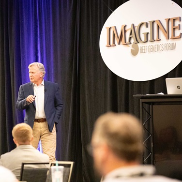 American Angus Association