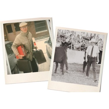 American Angus Association