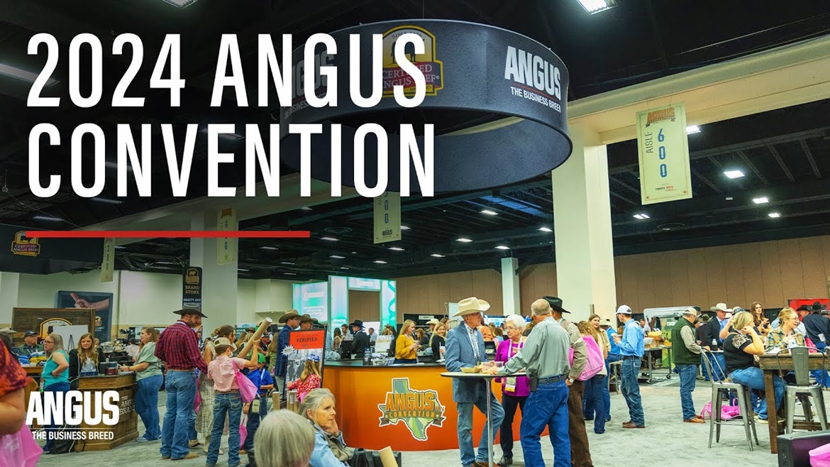ANGUS CONVENTION