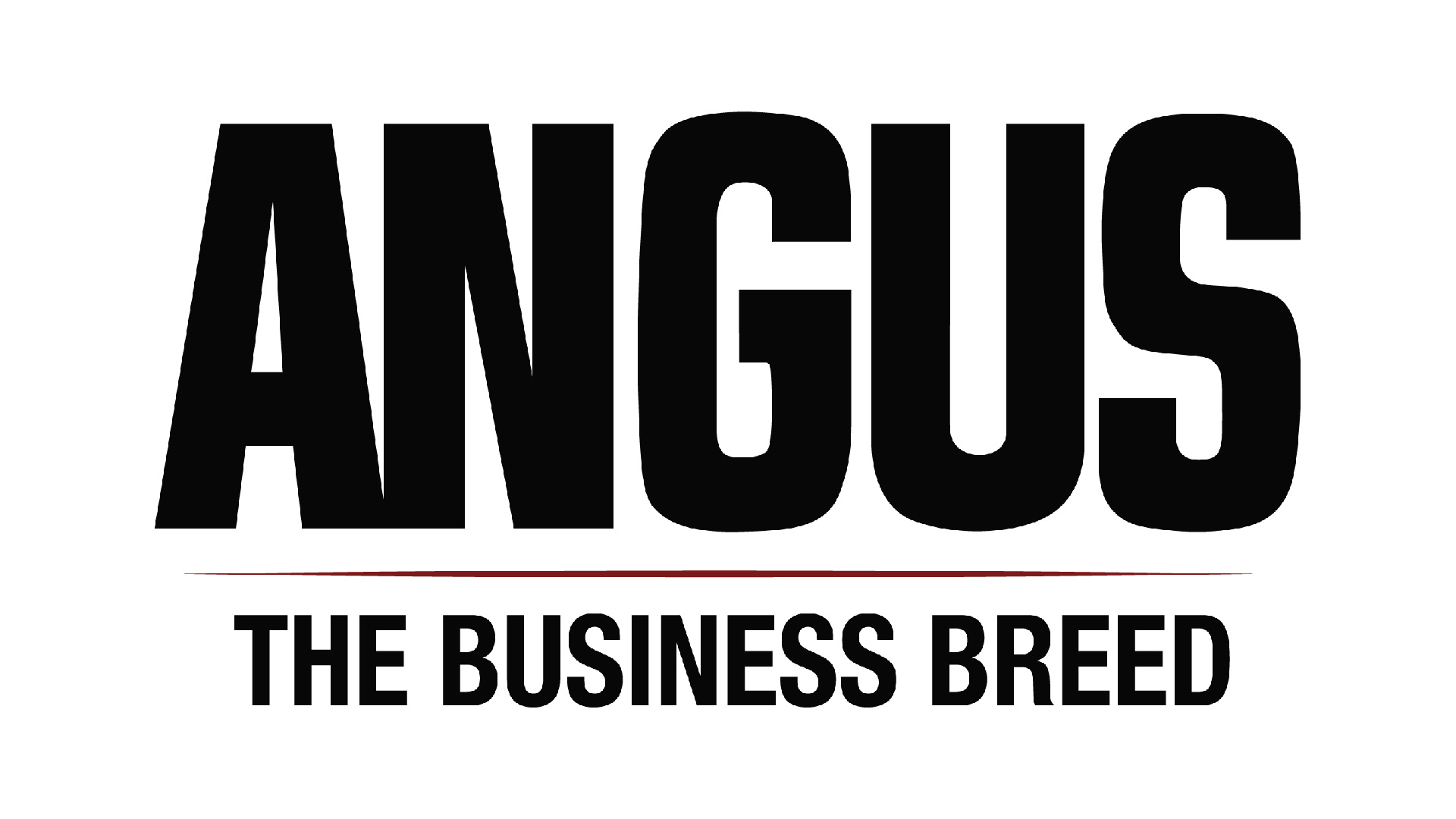 American Angus Association