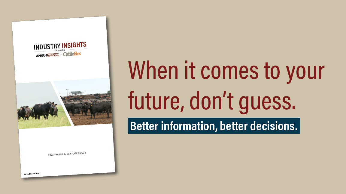 Industry Insights
