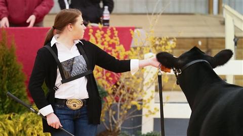 Mid-Atlantic Junior Angus Classic (MAJAC)