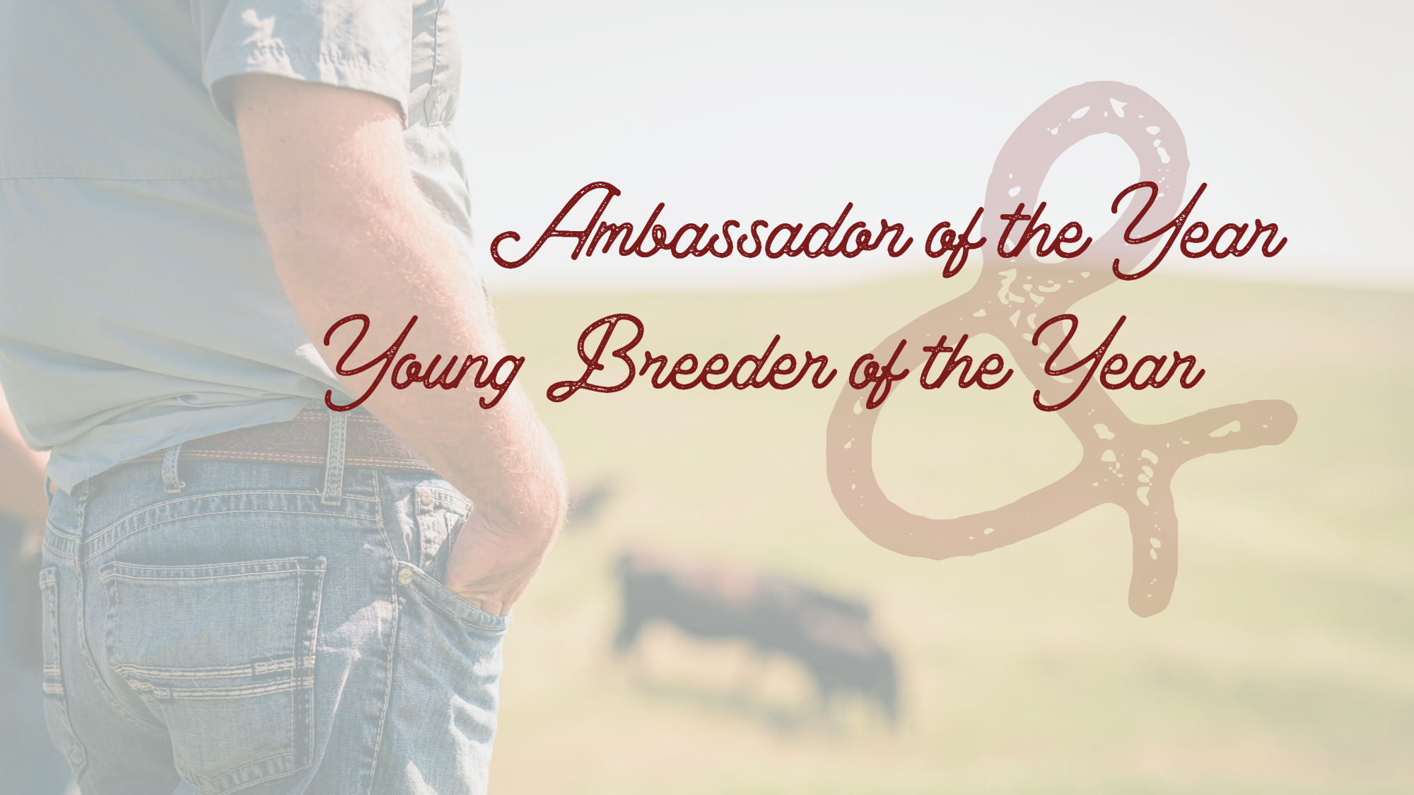 Nominate Influential People in the Angus Breed