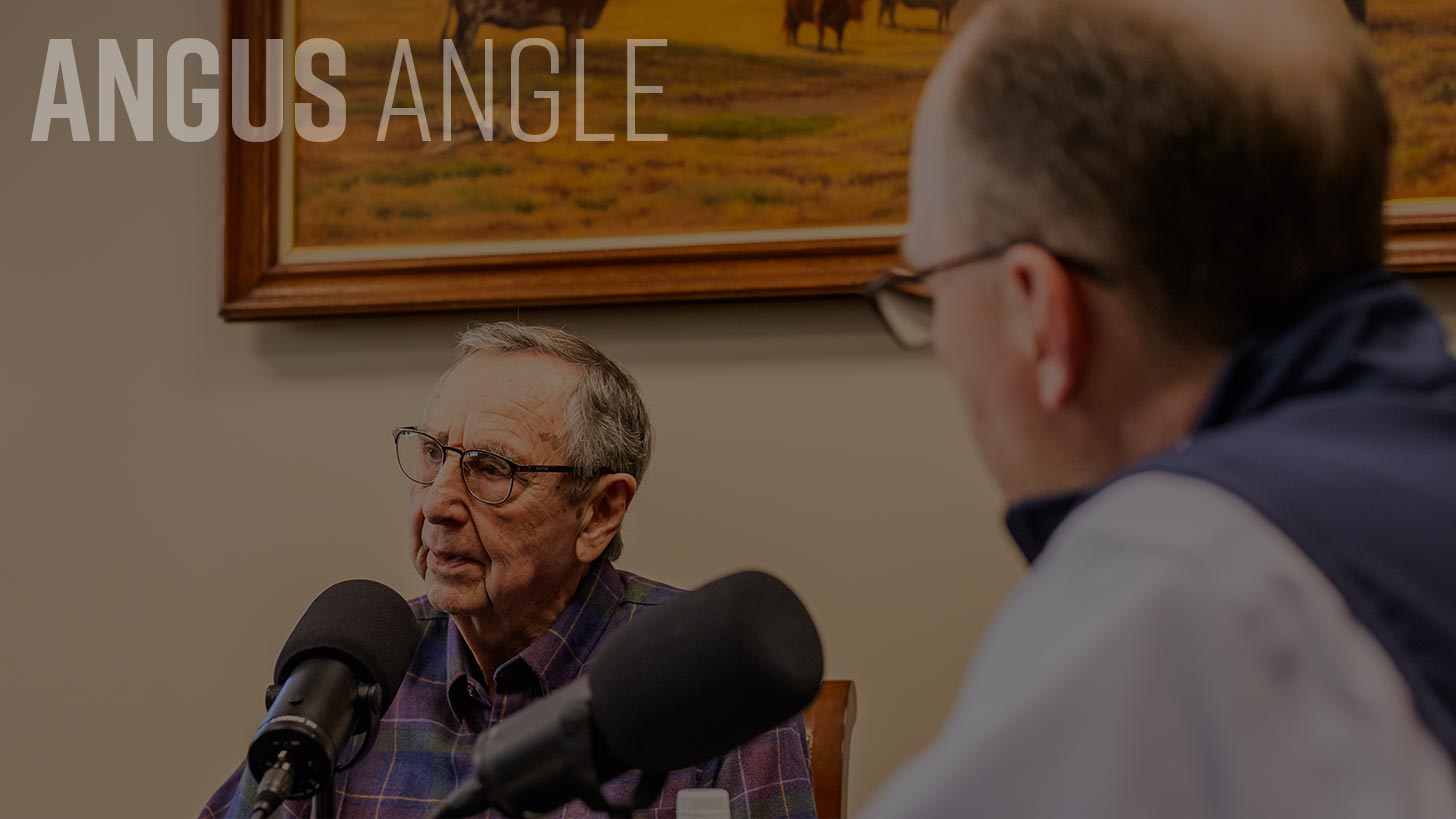 Angus Angle