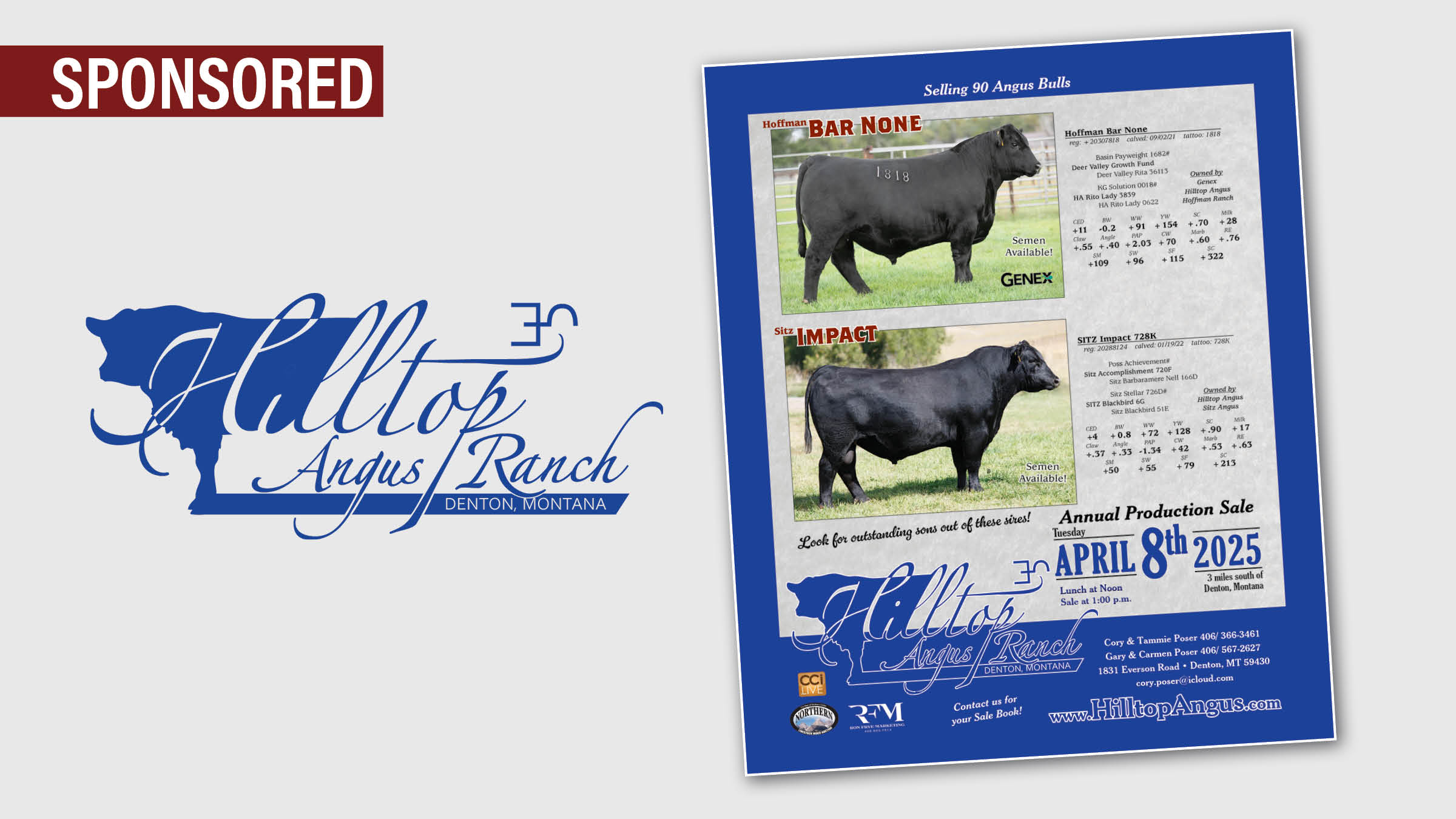Hilltop Angus Ranch