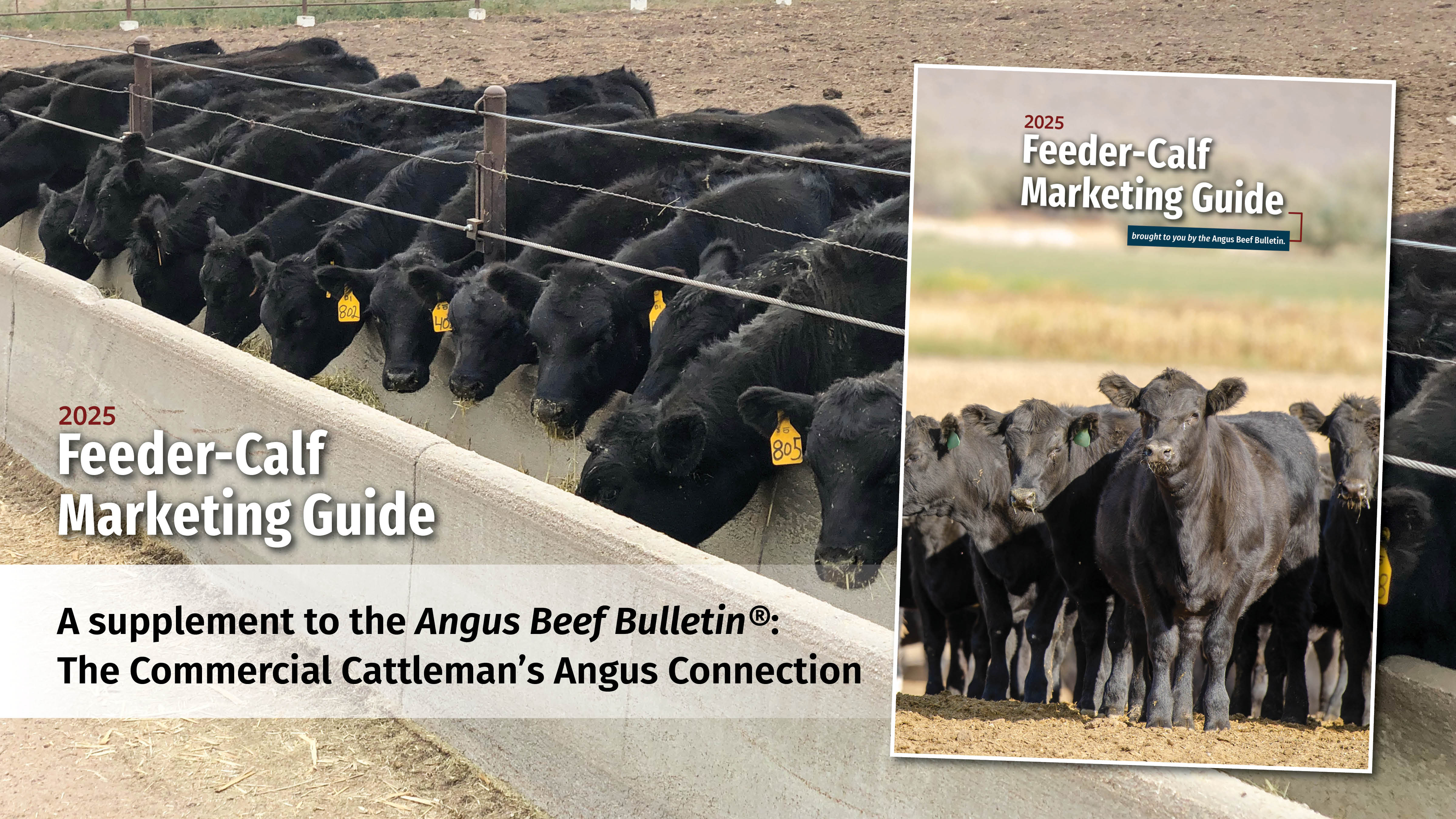Feeder-Calf Marketing Guide