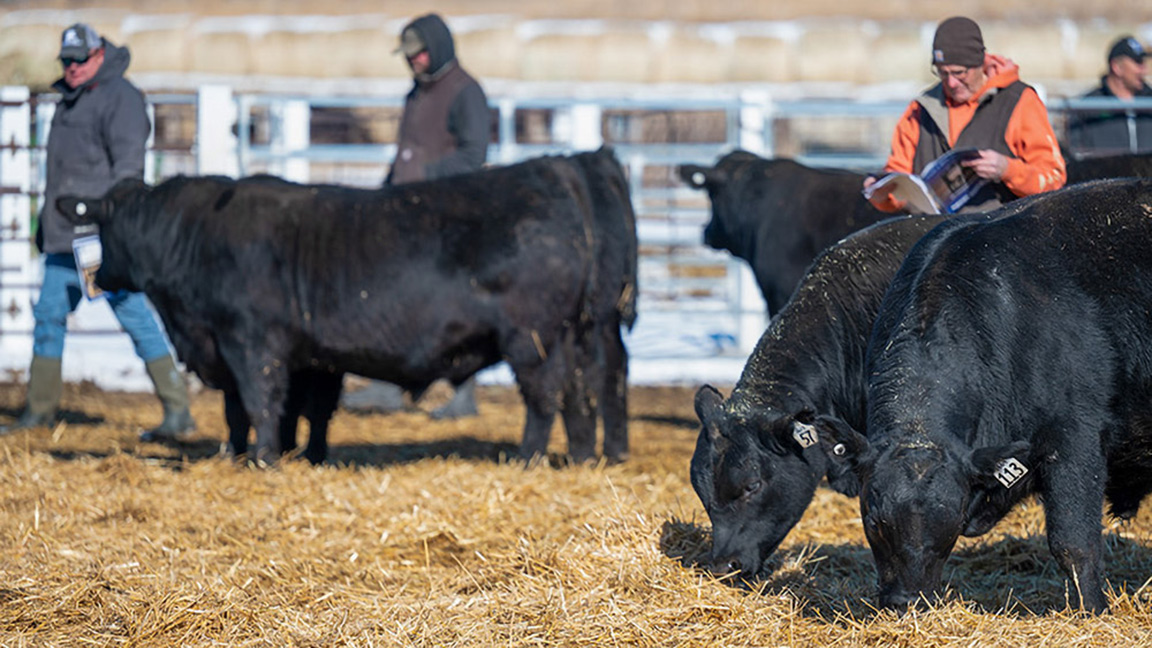 A Business Case for Using EPDs