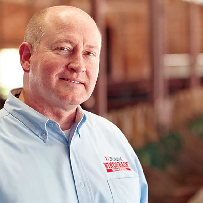 Cattle Nutrition is Vital to the Immune System
