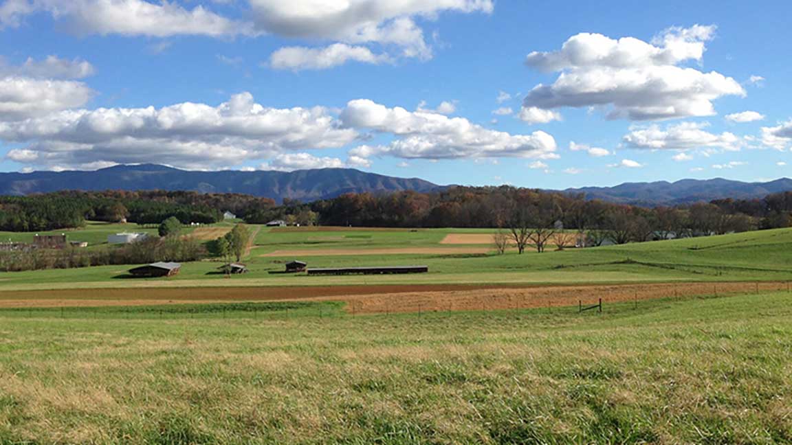 Cattle Economics: Pasture Rental Rates