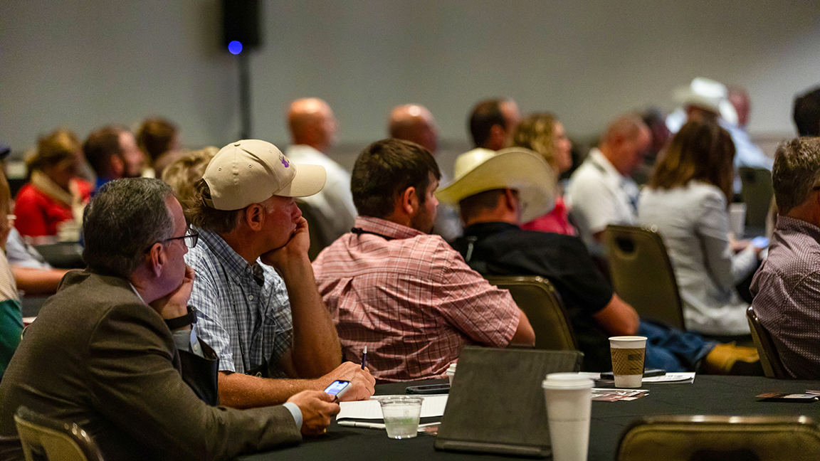 Better Cattle Bring Opportunity