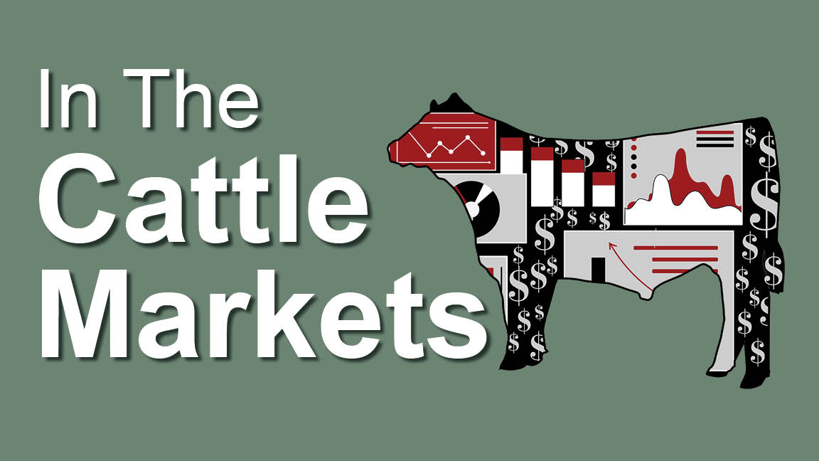 In the Cattle Markets