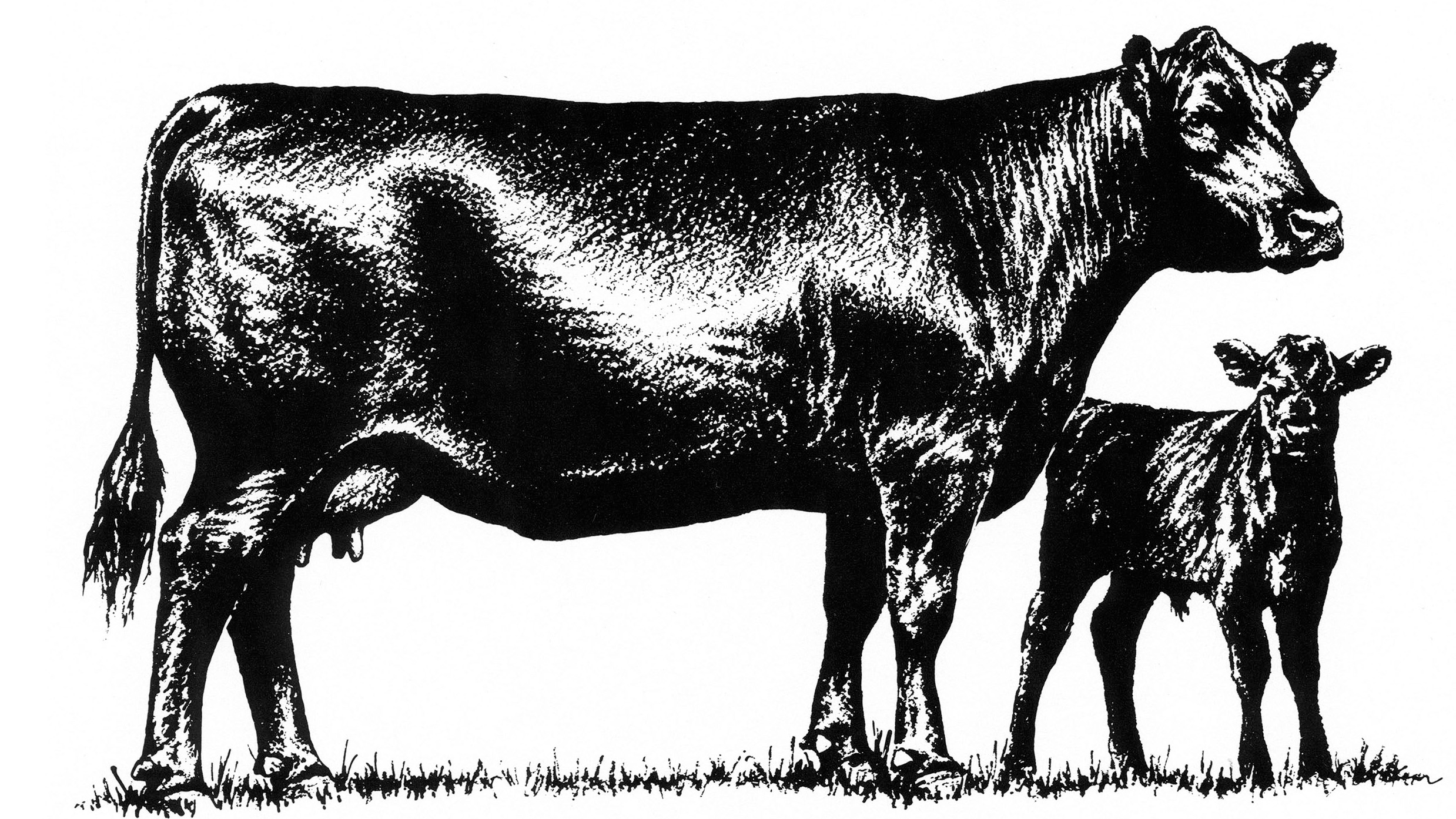 Nobleland Angus Farm Recognized as a Historic Angus Herd