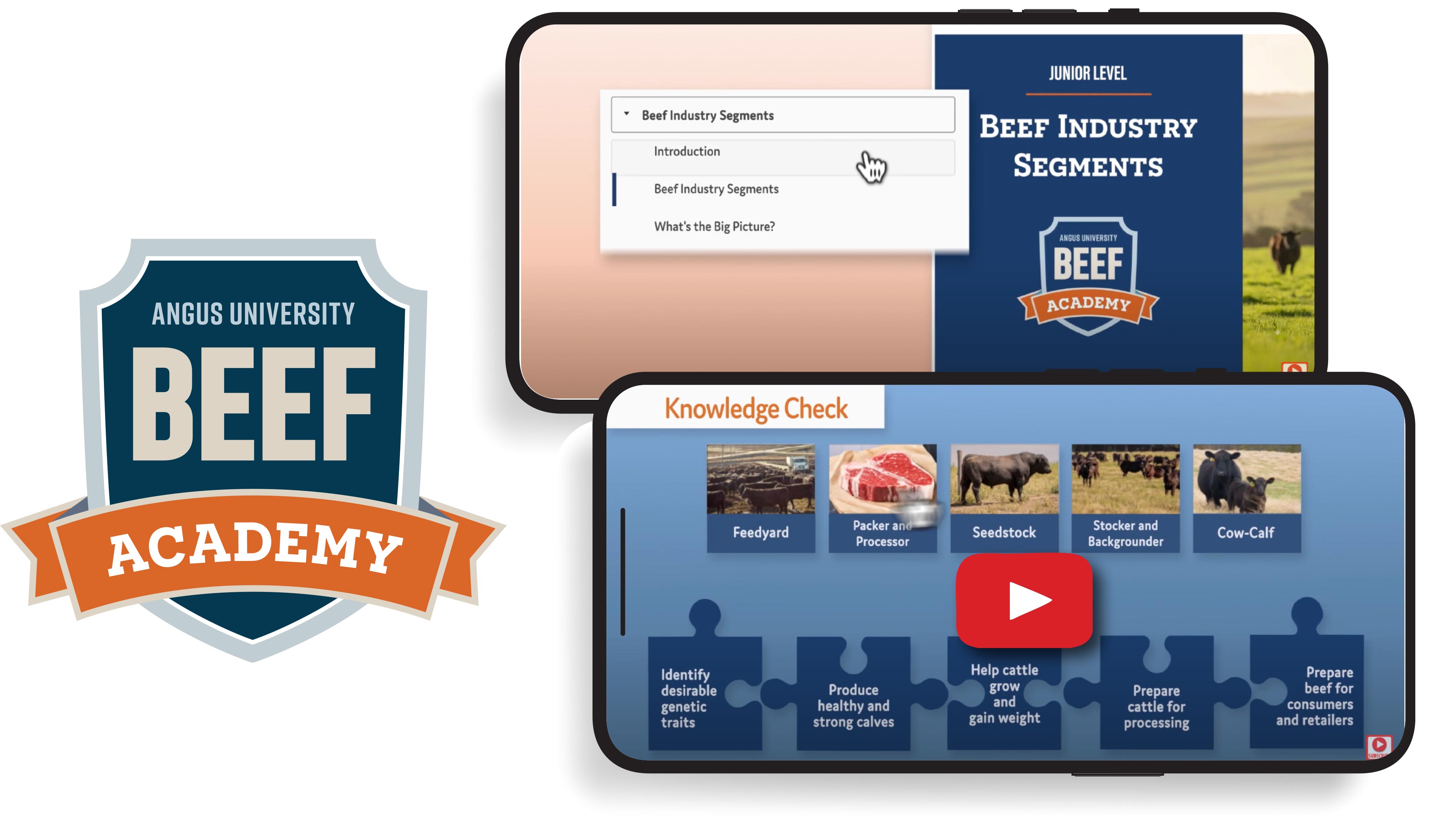 Who’s Smarter Than an Angus Junior?