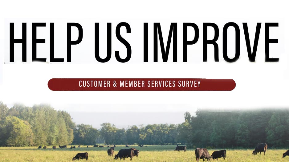 Association, AGI Seeks Customer Service Feedback