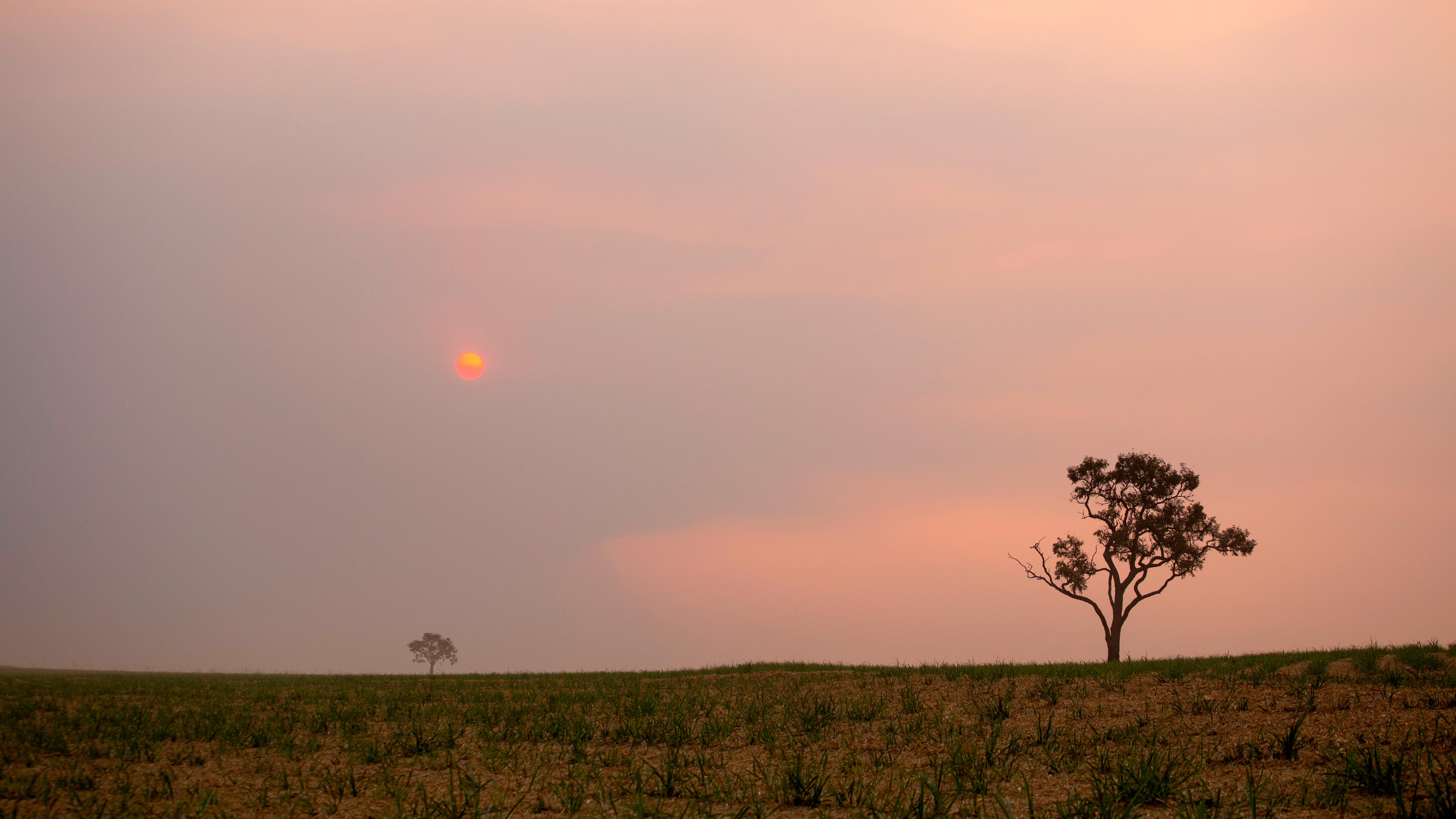 CattleFax Weather Update
