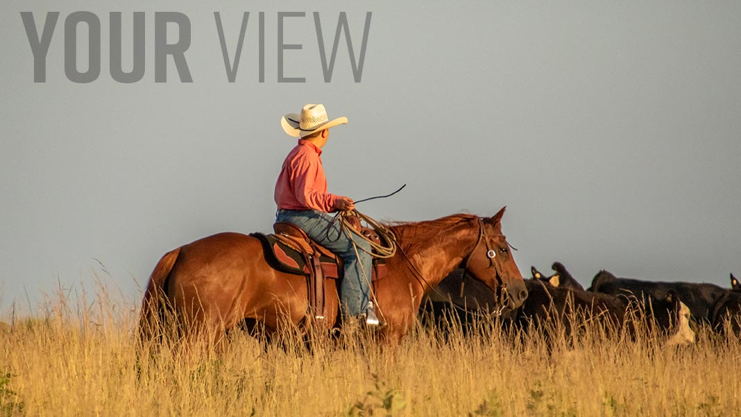 Champion Junior Creative Writing